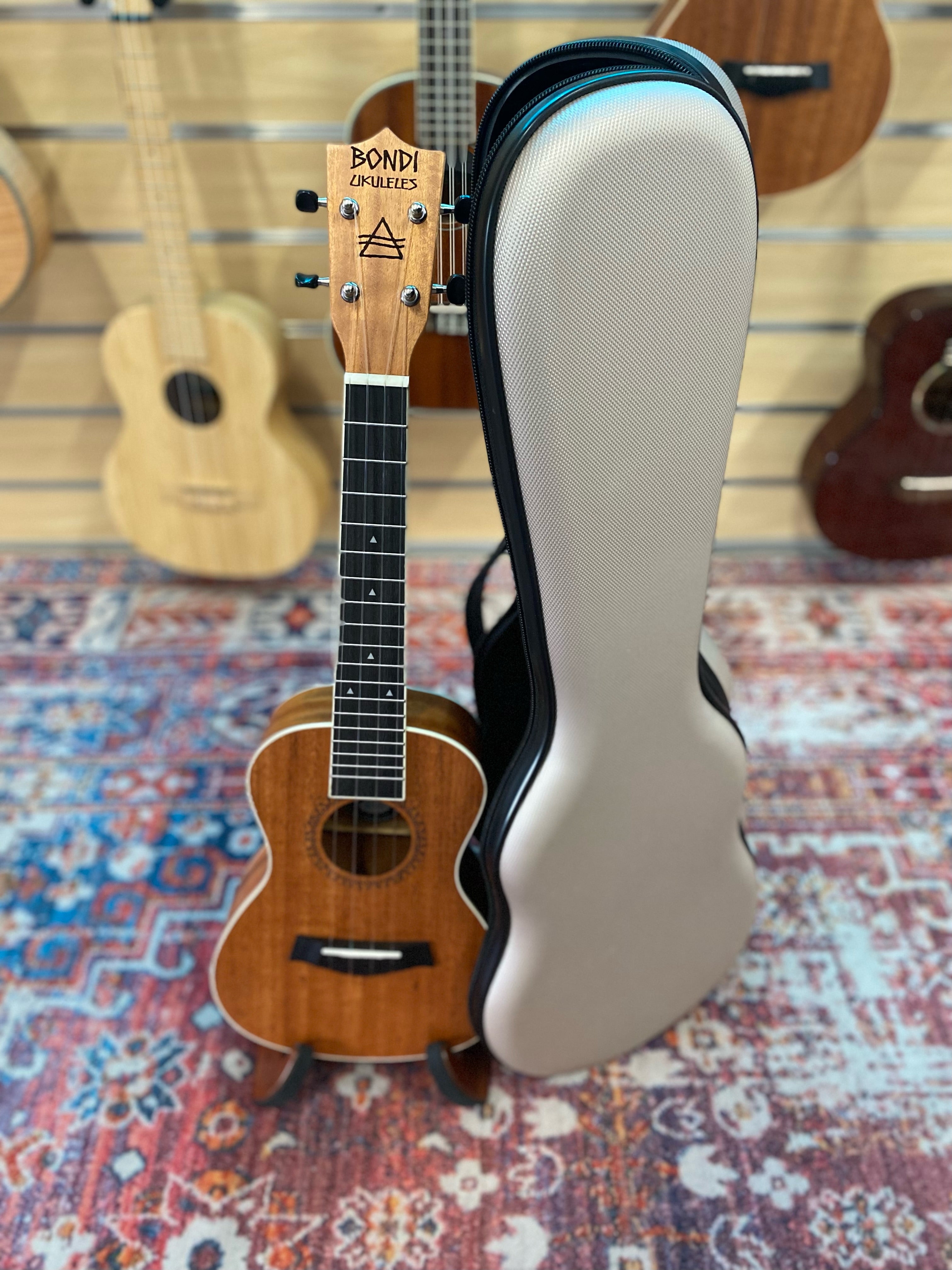 Ultimate Ukulele Starter Bundle - Concert Size Plus Demo Model Hard ...