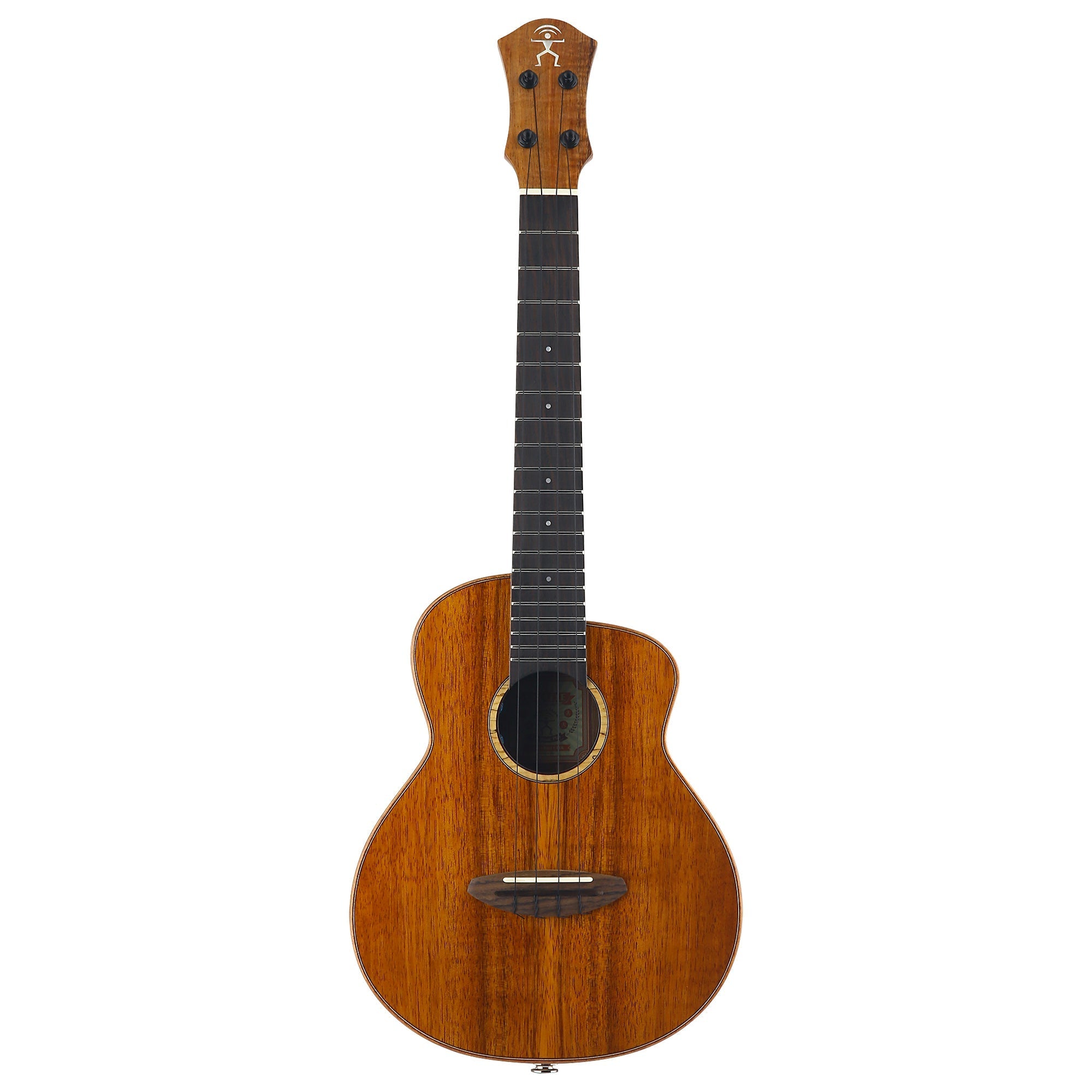 aNueNue Koa Bird Tenor Electric Ukulele UT1KE - On Sale Now